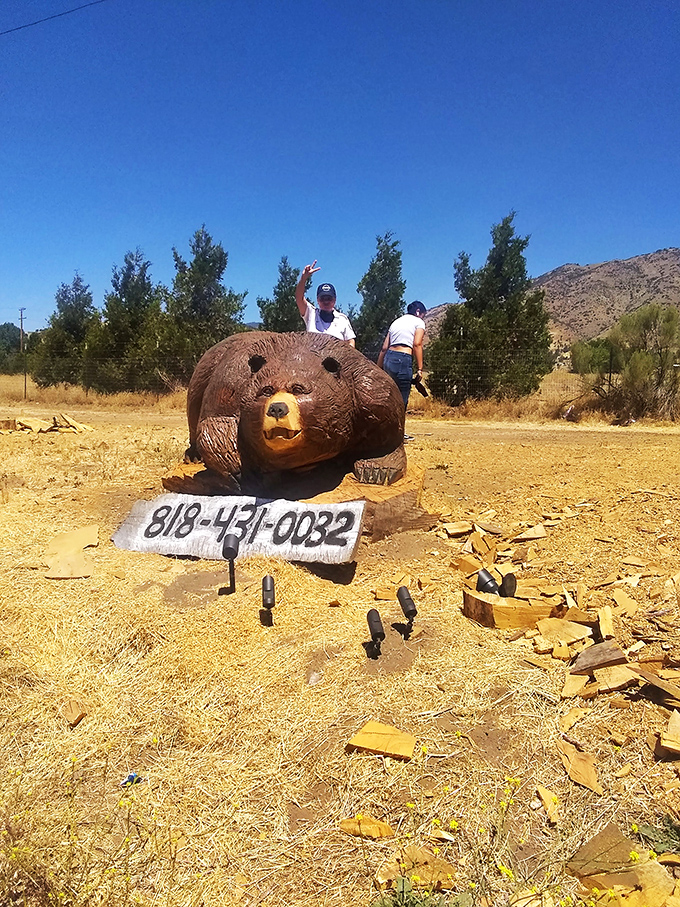 This wooden bear sculpture takes "town mascot" to artistic heights. He's been giving directions and posing for photos longer than most GPS systems.