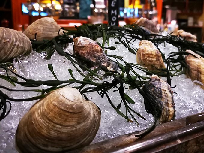 Fresh oysters and clams displayed on ice promise the kind of briny perfection that dreams are made of.