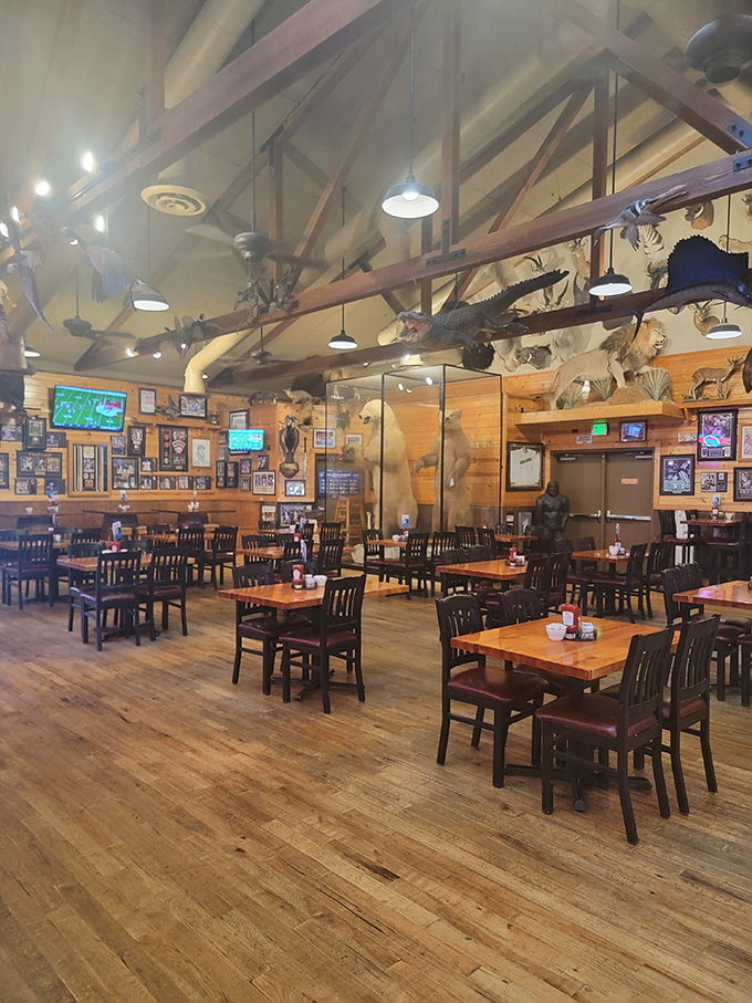 The dining room where taxidermy meets sports bar meets family restaurant &ndash; somehow creating the perfect roadside atmosphere.