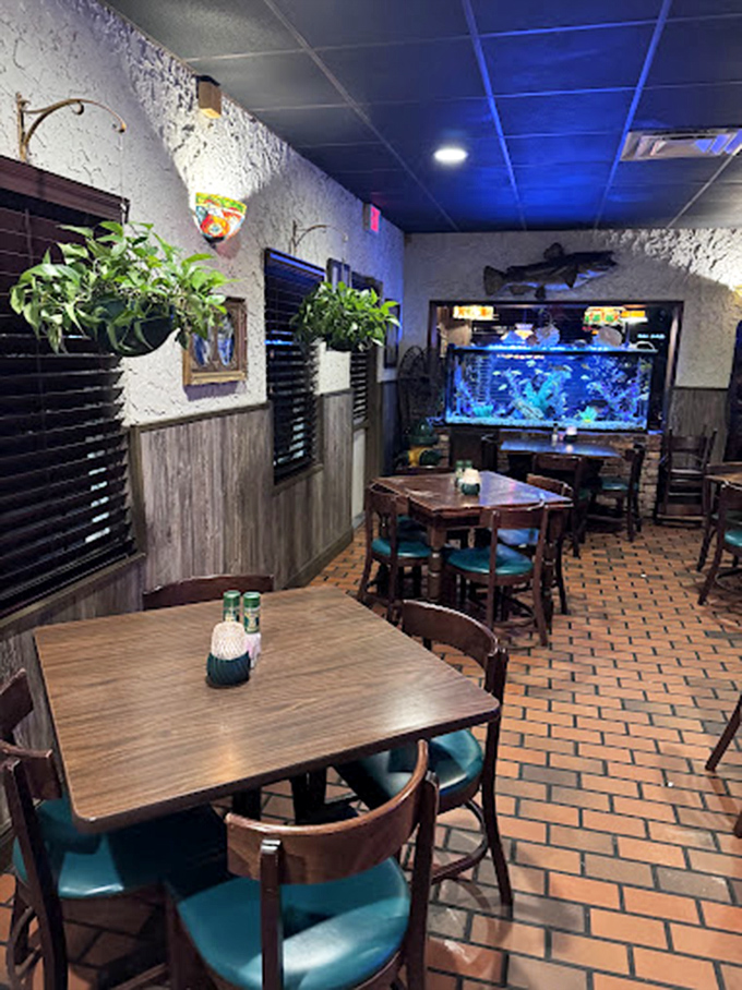Dining room ambiance that whispers "stay awhile" with an aquarium that provides dinner entertainment no smartphone can match.