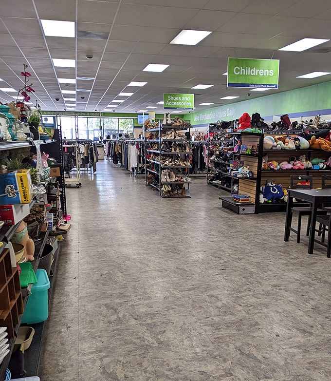 Department store organization meets garage sale prices. The green signs guide you to your next "how did I live without this?" purchase.