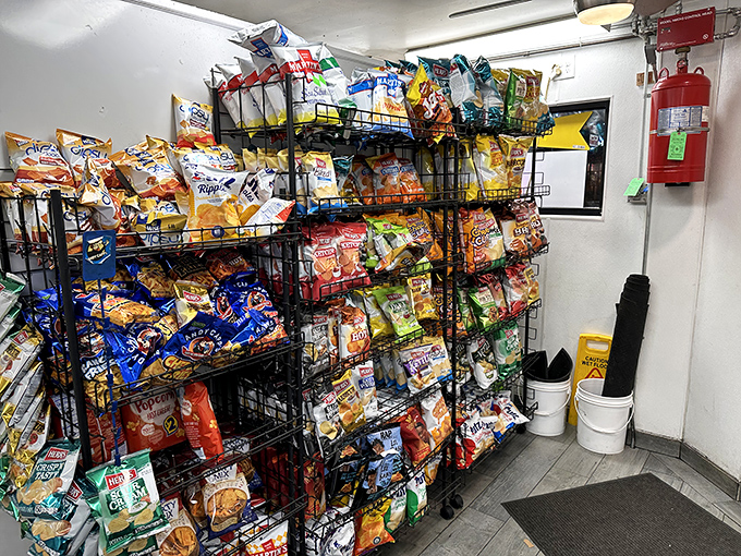 Snack strategy for serious sandwich enthusiasts. Leo's chip selection offers the perfect crunchy sidekick to their main event sandwiches.