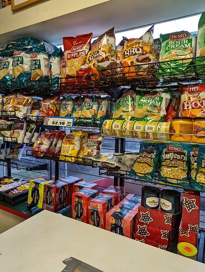 A chip selection that rivals the Louvre in variety and importance. Choose wisely&mdash;your sandwich's perfect companion awaits.