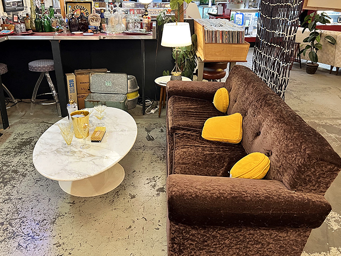 That orange velvet couch has seen things, heard things, and still looks better than your IKEA furniture.