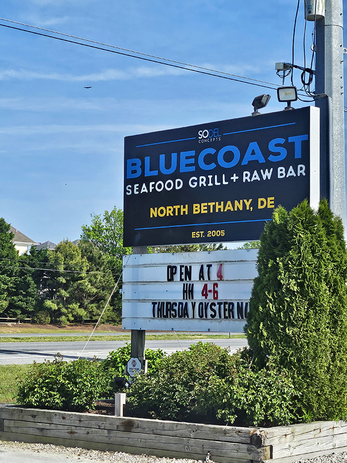 A sign that promises exactly what it delivers &ndash; no false advertising, just honest coastal cooking.