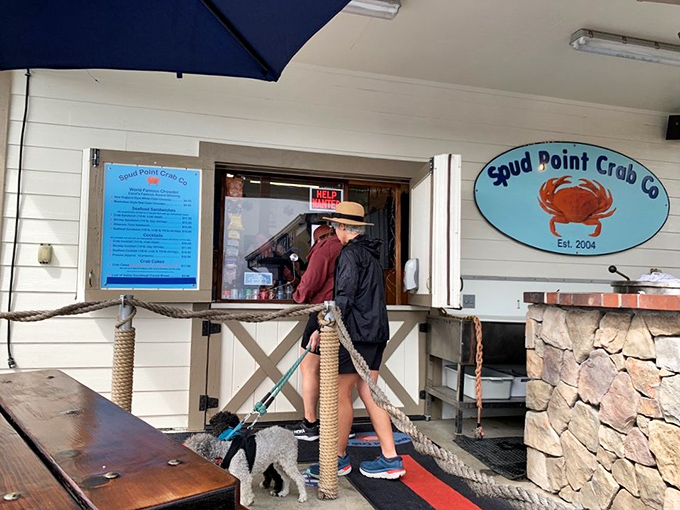 The ordering window where dreams come true and patience is rewarded. Dogs welcome, as they understand the value of waiting for good things.