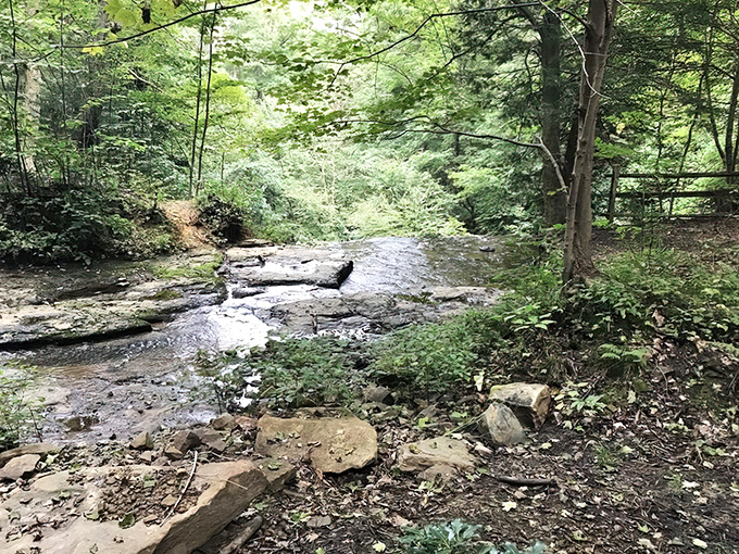 The gentle upper stream gives no hint of the dramatic plunge ahead. Like life itself, the water's journey takes unexpected turns.