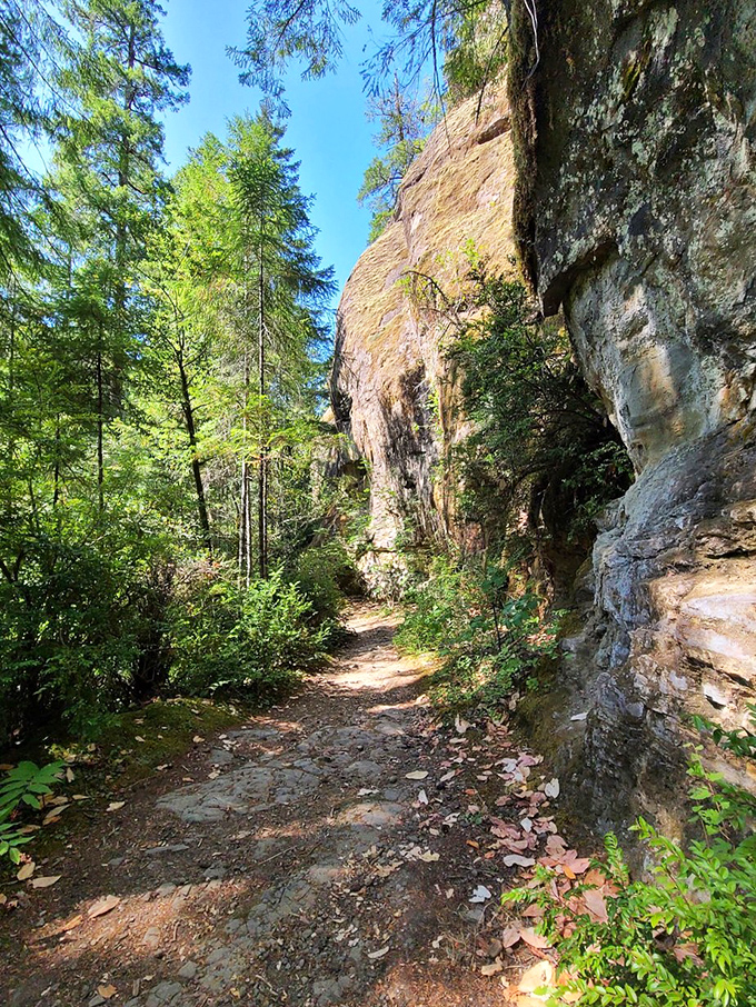 The well-maintained trail proves that getting to paradise doesn't require a sherpa or survival training.