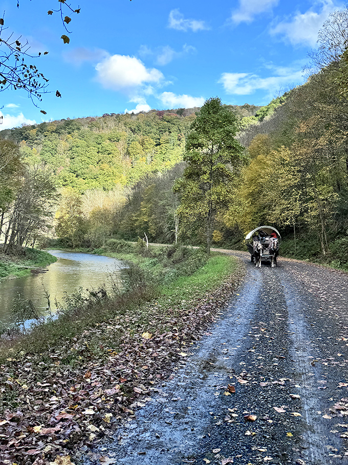 The path less traveled becomes the journey most remembered. No traffic jams here, unless you count that family of deer up ahead.