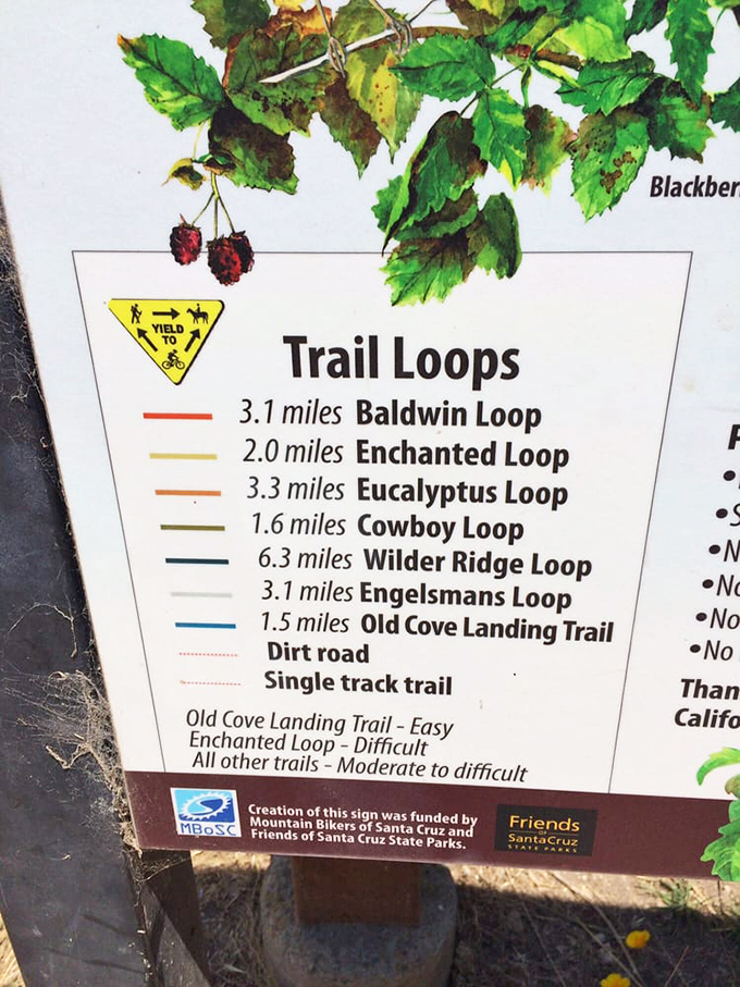 Trail options that range from "pleasant afternoon stroll" to "why did I think I was in shape?" Choose your own adventure.