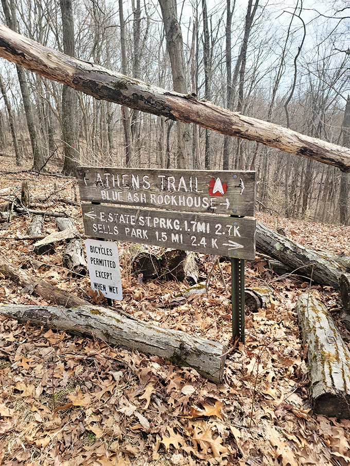 Trail markers: where "getting lost" transforms from modern-day nightmare to deliberate adventure with an escape hatch.