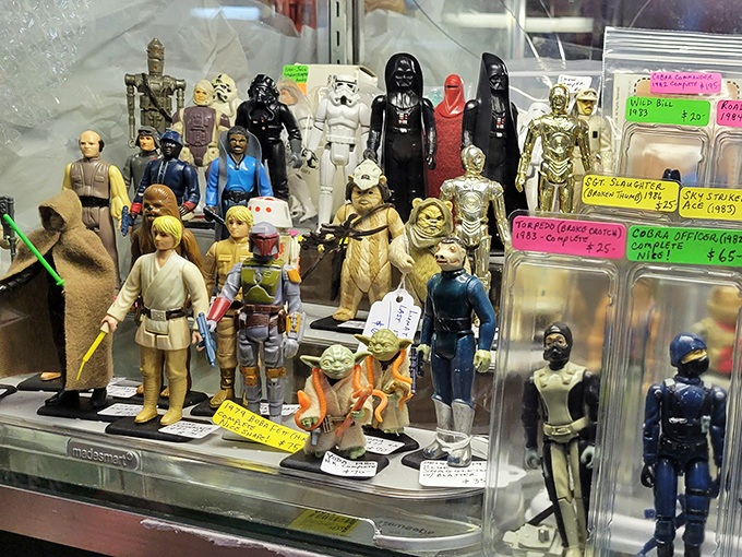 The Force is strong with this collection of Star Wars figures&mdash;a plastic galaxy of characters that spans generations of fandom and collecting.