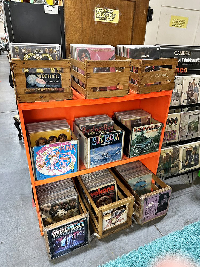 Music history lives on in these carefully organized vinyl collections, from classic rock to forgotten gems.