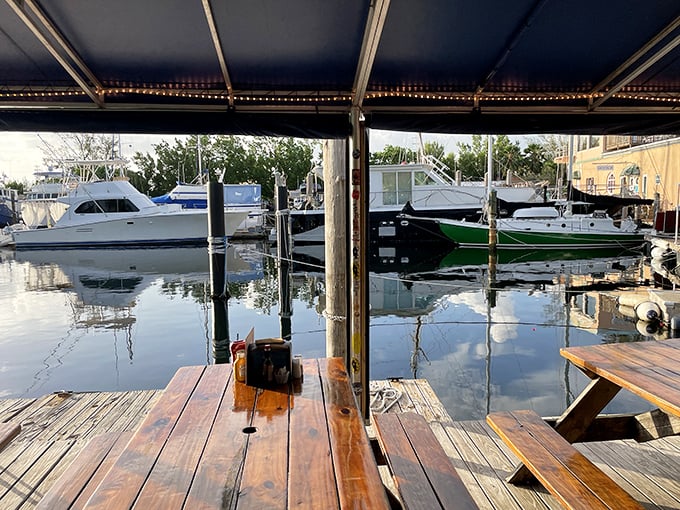 Waterfront dining where your table neighbors are boats worth more than your house, yet the atmosphere remains delightfully unpretentious.