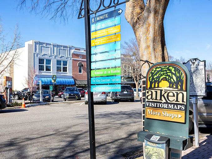 Aiken's downtown shopping district invites leisurely browsing, where "retail therapy" actually feels therapeutic rather than stressful.