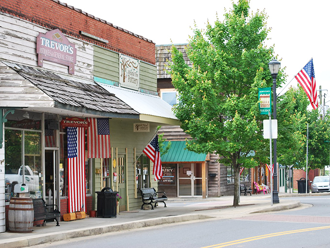 Ellijay's mountain main street offers a slice of small-town charm that pairs perfectly with a fresh apple cider donut.
