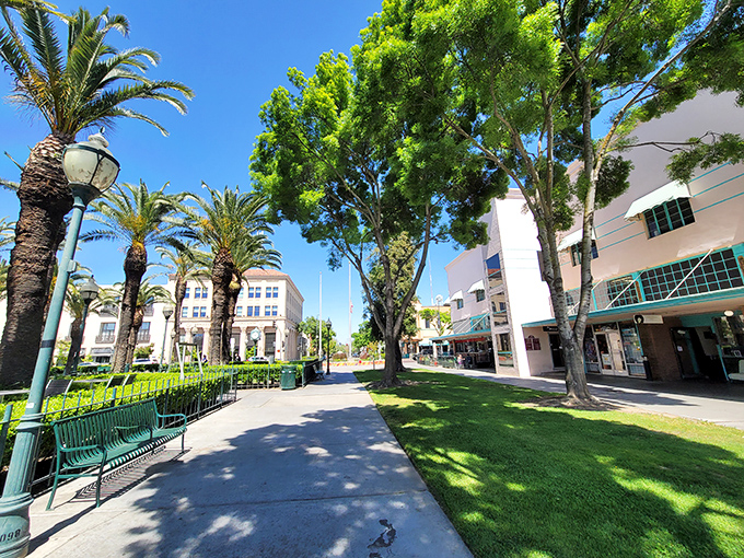 Merced's palm-lined downtown plaza offers Central Valley charm with enough shade to make any afternoon stroll feel like a mini-vacation.