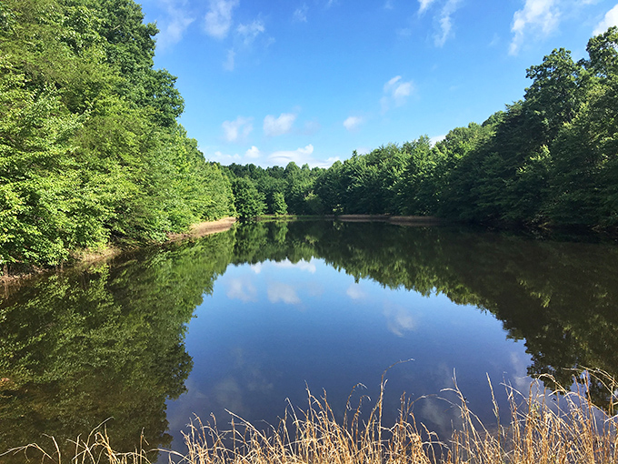 Monteagle's elevated perch offers sweeping views that remind you why they call these the Great Smoky Mountains.