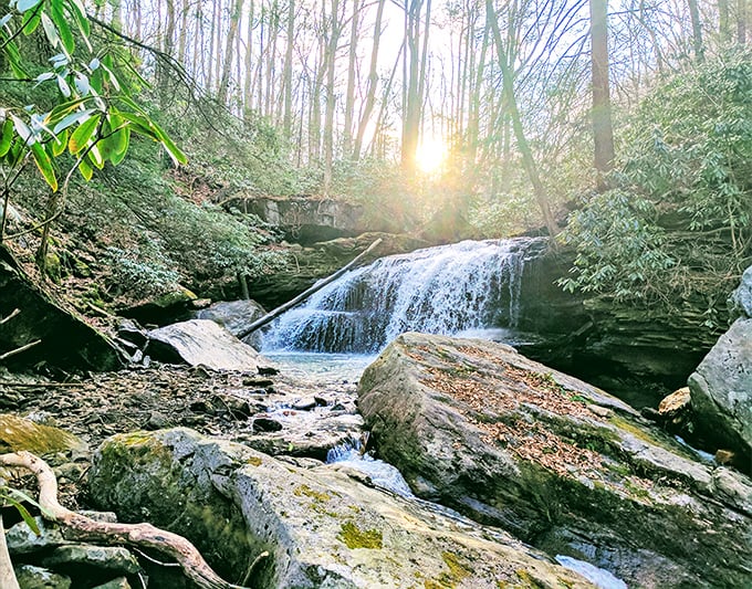 Fallingwater proves that Frank Lloyd Wright knew exactly what he was doing - showing off, basically, but brilliantly.