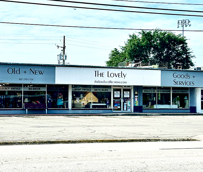 The Lovely's minimalist storefront is like a blank canvas &ndash; inside, vintage treasures paint a picture of style and history.