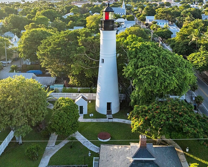 The iconic lighthouse rises above Key West's tree canopy, a beacon of history in this southernmost town.