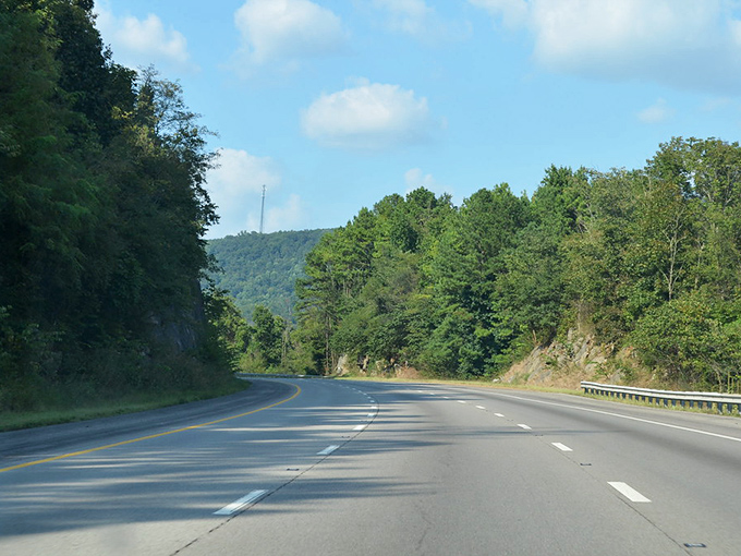 Monteagle's mountain highway cuts through forests that were here long before the concept of "deadlines."