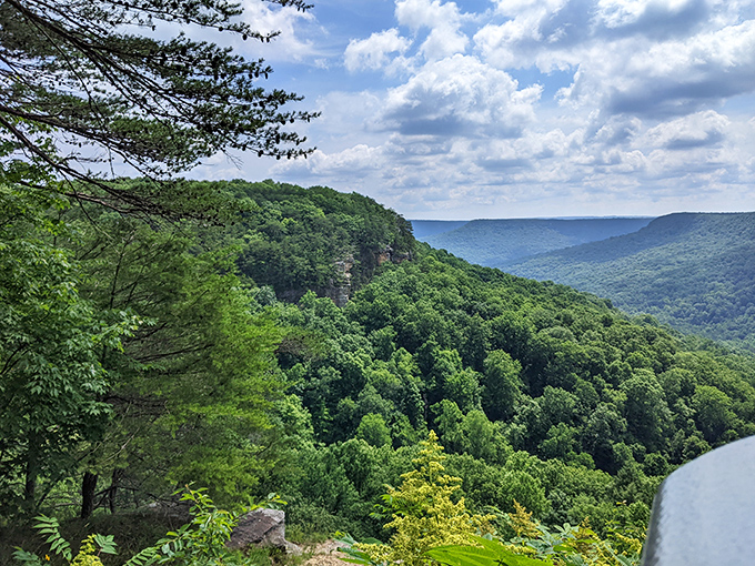 The winding paths of Monteagle lead to natural wonders like this stunning waterfall, Tennessee's best-kept secret.