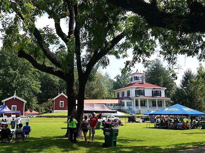 A community gathering under shade trees in Sautee Nacoochee, where festivals and markets bring neighbors together.