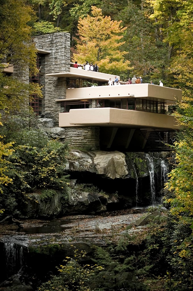 Stewart's wetlands are nature's own meditation garden - no admission fee, no closing time, just pure peace.