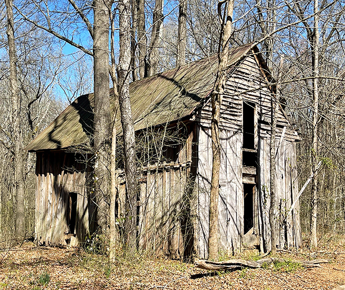 Time and nature slowly reclaim this abandoned structure, writing poetry in weathered wood and broken windows.