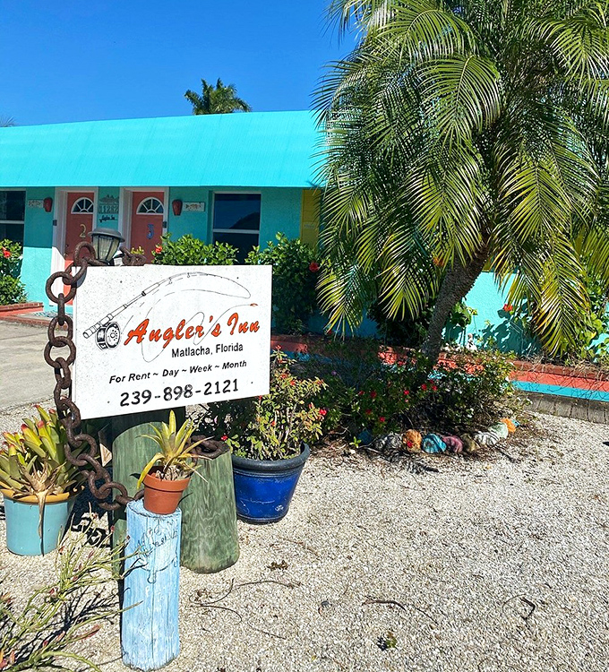 Waterfront accommodations that understand the best alarm clock is sunrise over gentle waves, not honking traffic horns.