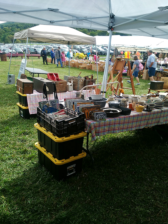 Open-air treasure hunting! When Pennsylvania weather cooperates, the market expands outdoors where serious collectors scan tables with eagle eyes.