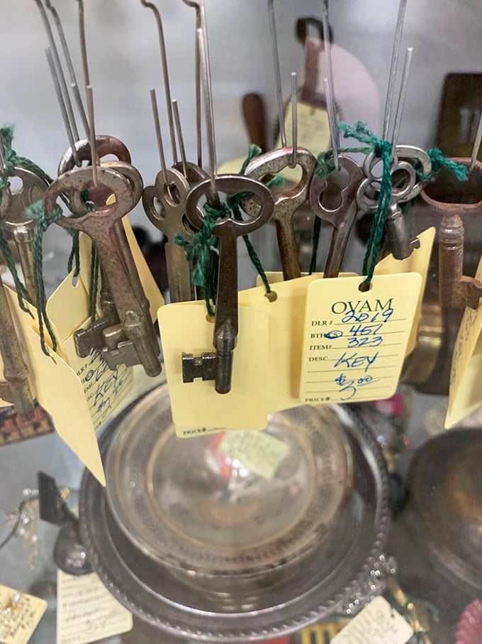 Antique skeleton keys dangle like mysteries waiting to unlock doors to forgotten rooms and stories.