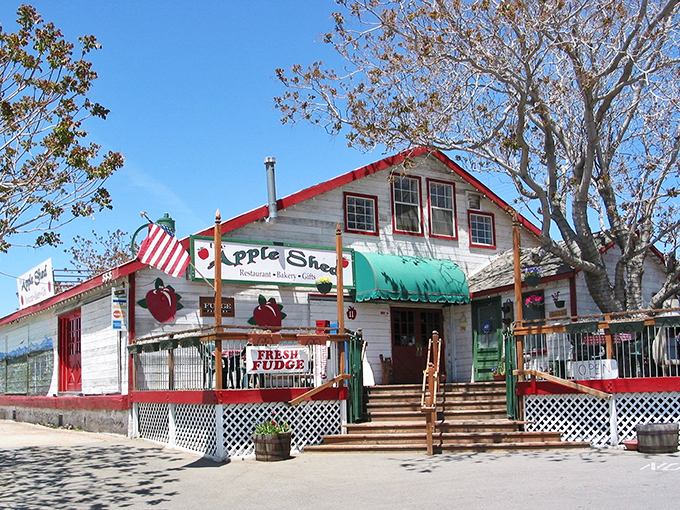 The Apple Shed promises fresh fudge and local charm, the kind of roadside attraction that makes you slam on the brakes with delicious urgency.