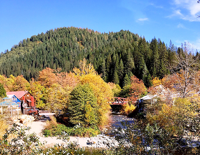 Fall in Downieville is nature's color therapy session. The rivers run gold here, both literally and metaphorically.
