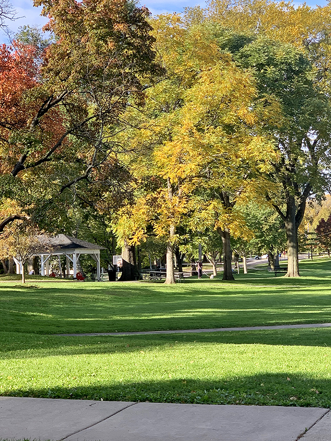 Autumn paints Hinsdale in Impressionist brushstrokes of gold and crimson, creating a scene that makes leaf-blowing feel like destroying fine art.