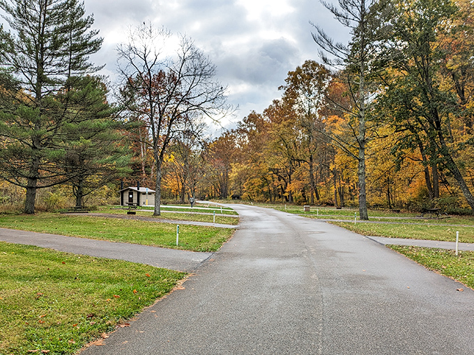 Autumn paints Strouds Run in a palette of gold and amber, creating a scene so picturesque it belongs on a calendar or your next holiday card.