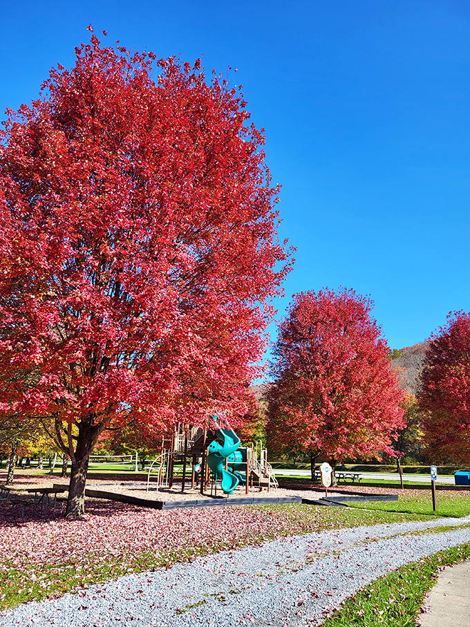 Autumn's crimson explosion frames the playground perfectly. These trees don't just change color &ndash; they throw a full-on seasonal celebration.