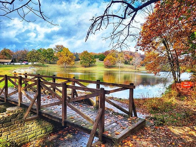 A wooden bridge leads to autumn's grand finale. Cross over and enter a world where every tree competes for "Best Dressed."