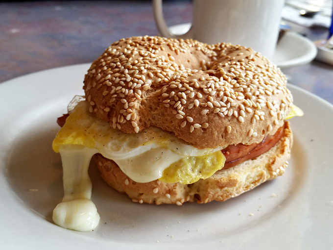The humble bagel sandwich &ndash; where melty cheese, a perfectly fried egg, and Canadian bacon create a handheld masterpiece worthy of reverence.