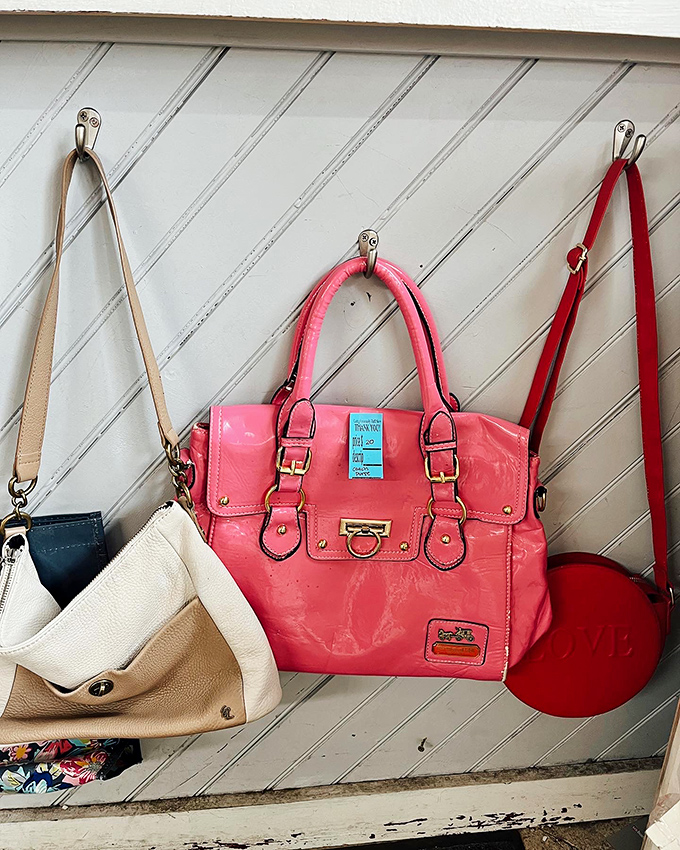 Handbag heaven! That coral purse is practically winking at you, promising to brighten outfits for seasons to come.