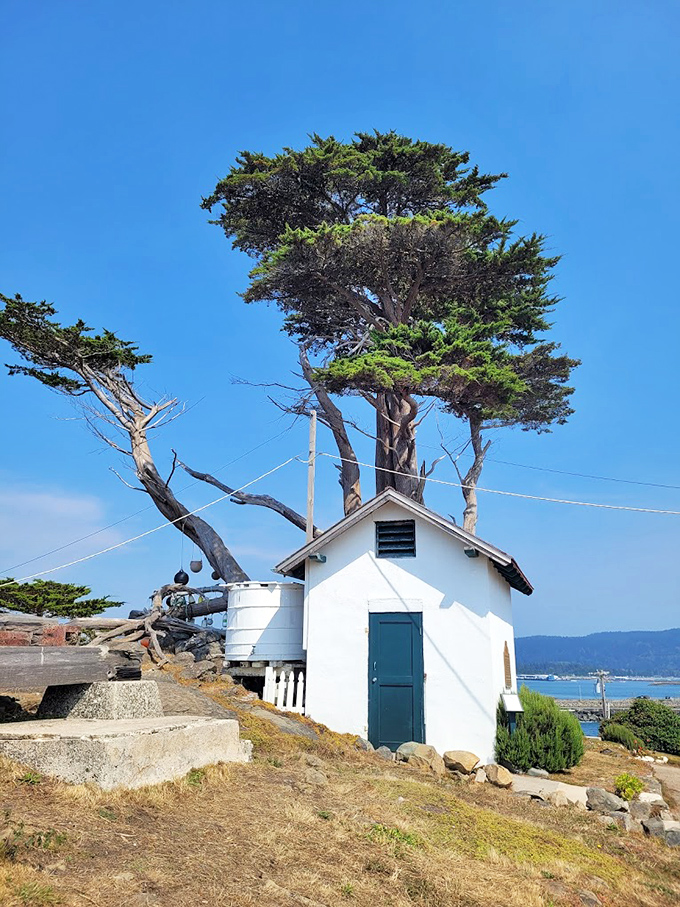 This unassuming utility building has weathered more storms than most of us will see in a lifetime. Coastal resilience in architectural form.