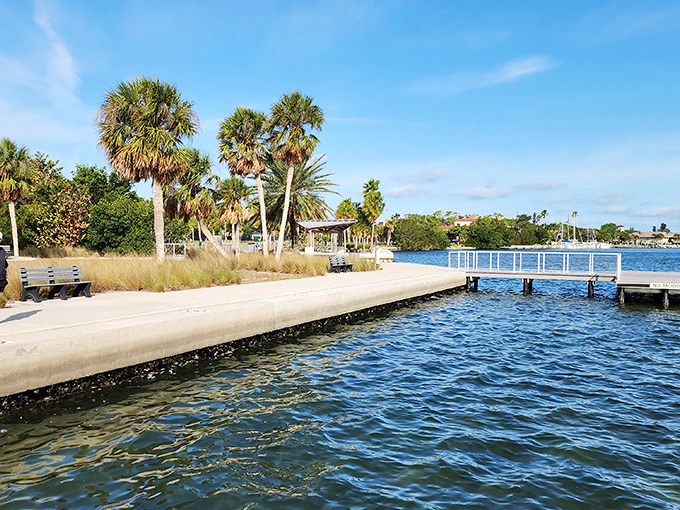 Bayfront boardwalks and palm trees: Florida's version of a meditation app, but with better views and real sea breeze.