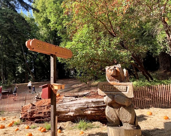Even the welcome signs have personality at Roaring Camp, where carved wooden bears greet visitors with more charm than your average theme park mascot.