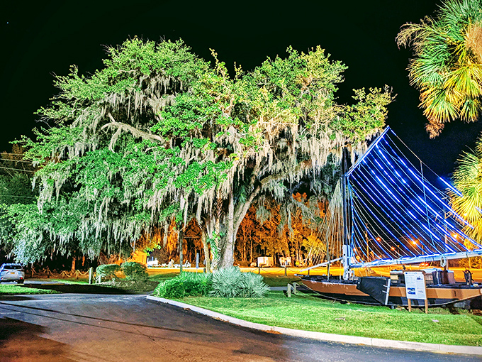 Spanish moss drapes over ancient oaks like nature's own fairy lights, creating magical evening scenes along Crystal River's waterfront.