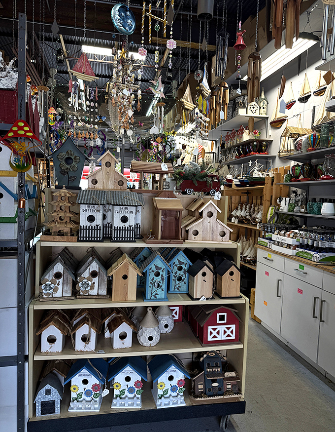 Birdhouse boulevard, where feathered real estate dreams come true. From rustic farmhouse to coastal cottage, even birds have style preferences in Florida.