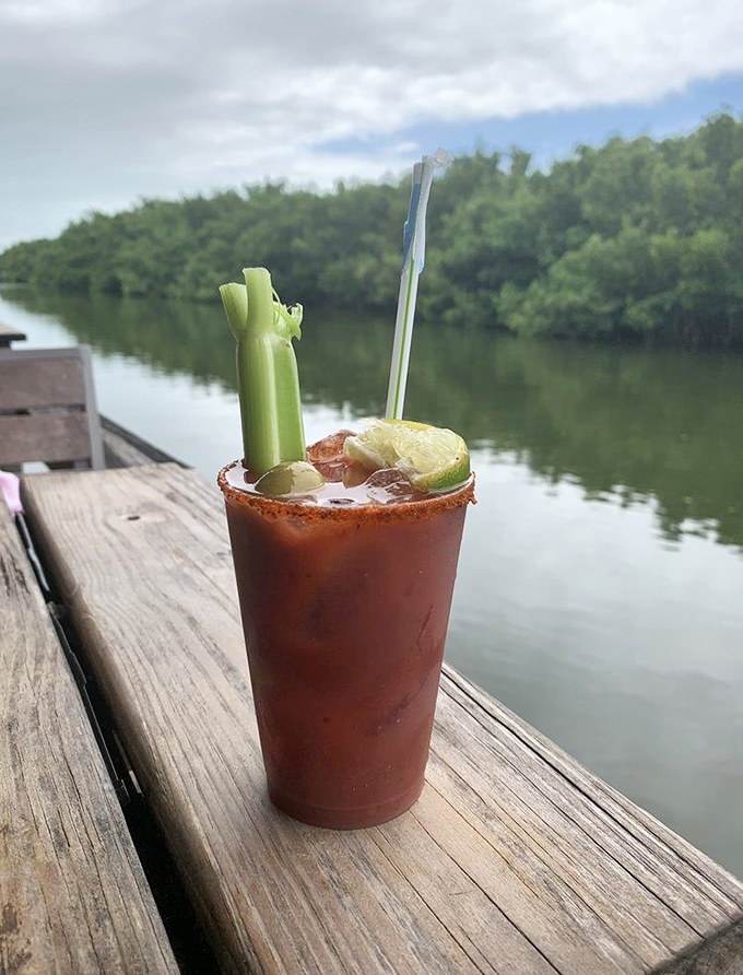 A Bloody Mary with a view – spicy, cold, and garnished with the essential celery stalk. The mangroves provide the perfect backdrop.