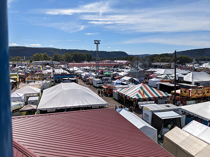 The legendary Bloomsburg Fair transforms these grounds into Pennsylvania's largest agricultural celebration, where funnel cakes and farm animals reign supreme.