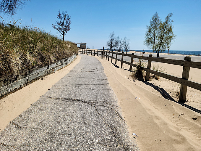 Sandy boardwalks leading to Lake Michigan's shores—where every step brings you closer to that perfect "feet in the sand" moment.