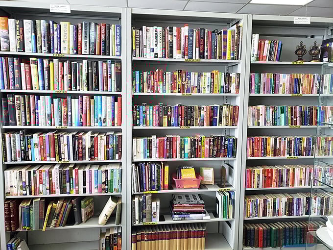 The book section: where literary treasures hide between forgotten bestsellers, waiting for their next reader to discover them.